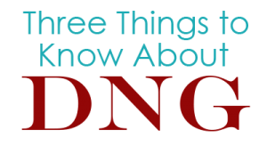 Three Things to Know About DNG