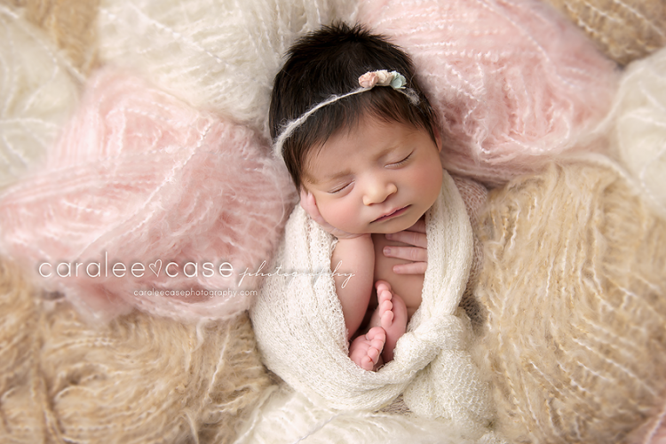Photographer Spotlight : Caralee Case