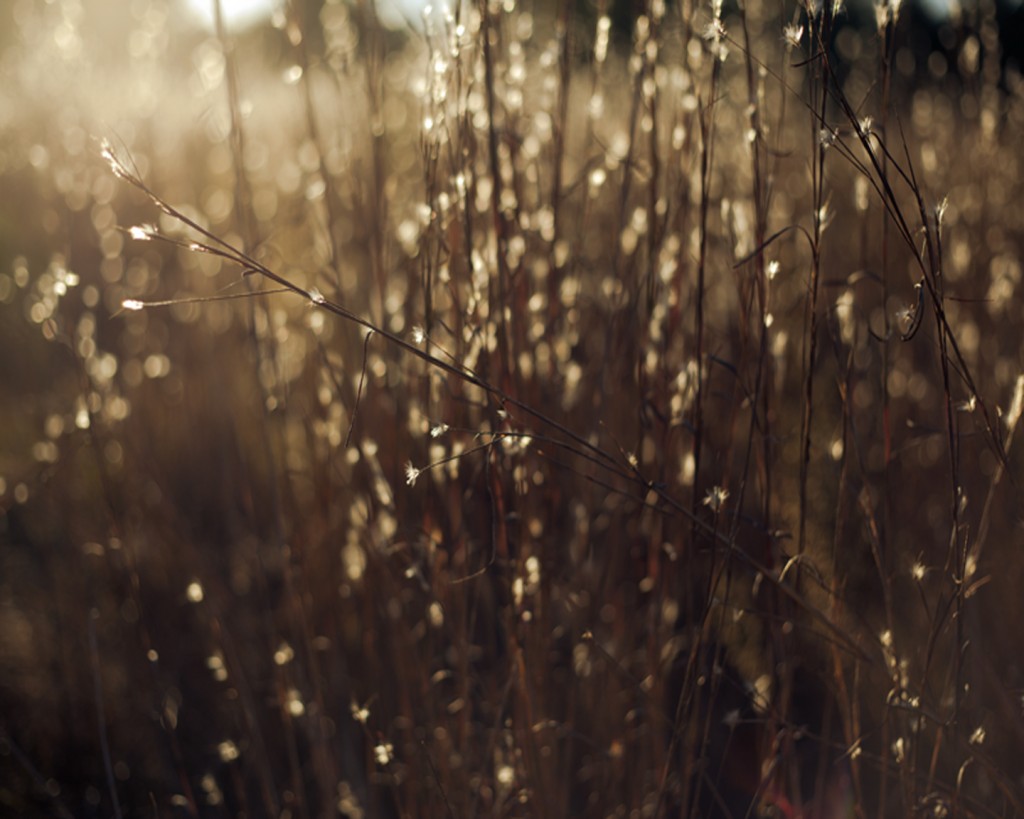 How to Crop for Printing